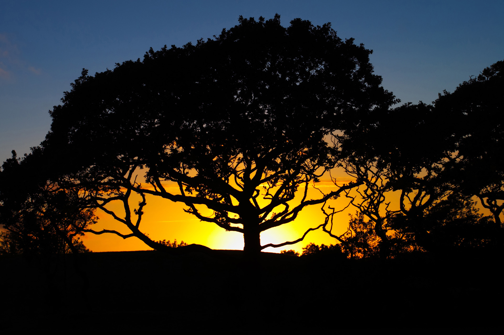 VISION Magazine | Solstice by Yonah ben-Avraham